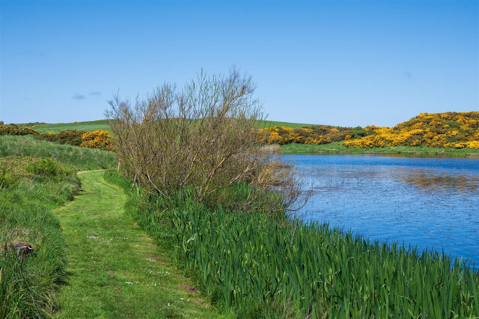 Coldingham Loch, Scottish Borders | GSC Grays | Rural Land & Property ...