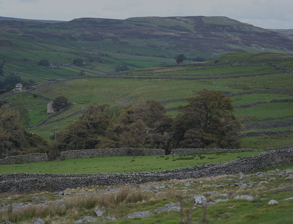Sectors | GSC Grays | Rural Land & Property Specialists
