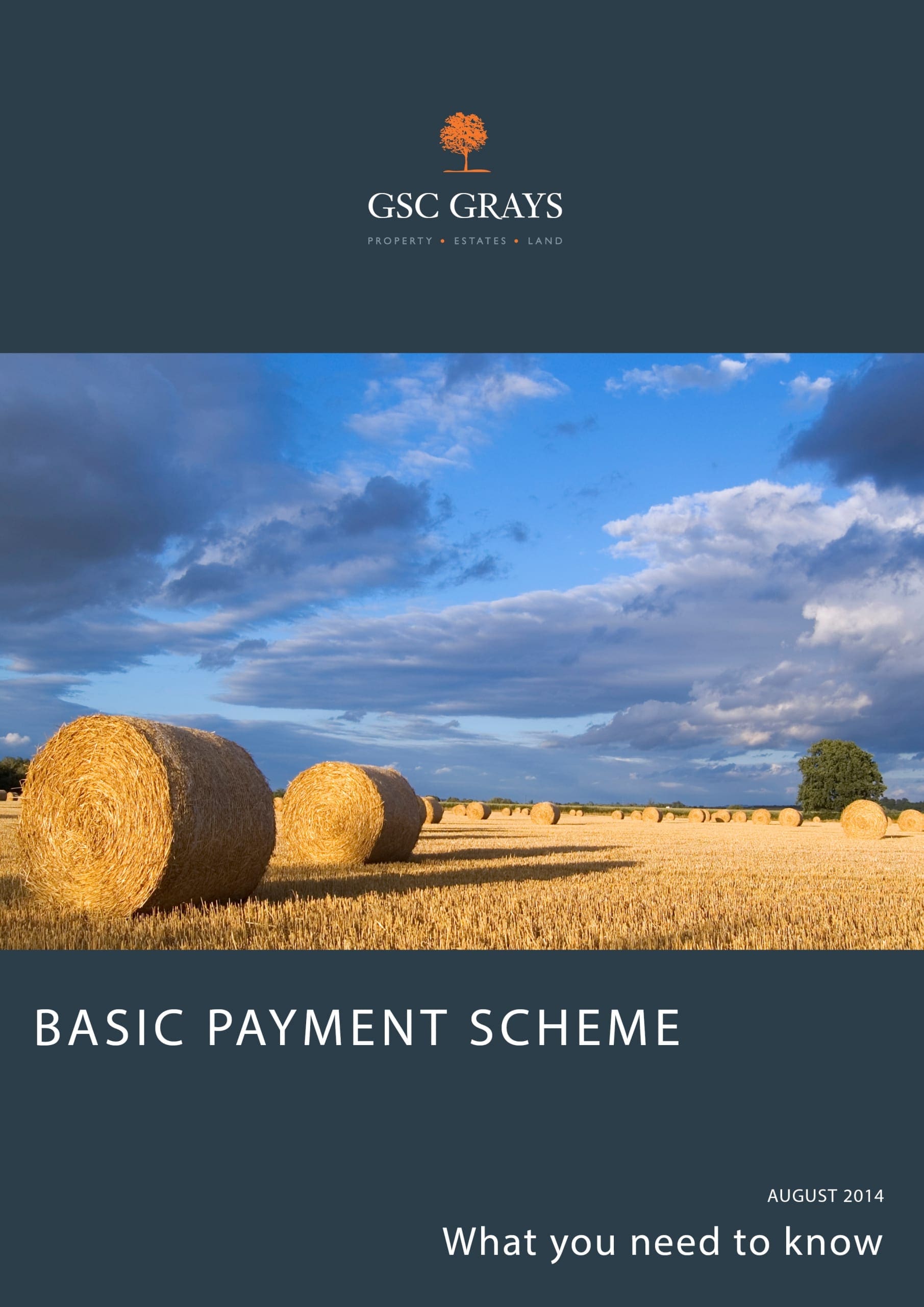 What You Need to Know - Basic Payment Scheme & Free Seminars | GSC ...