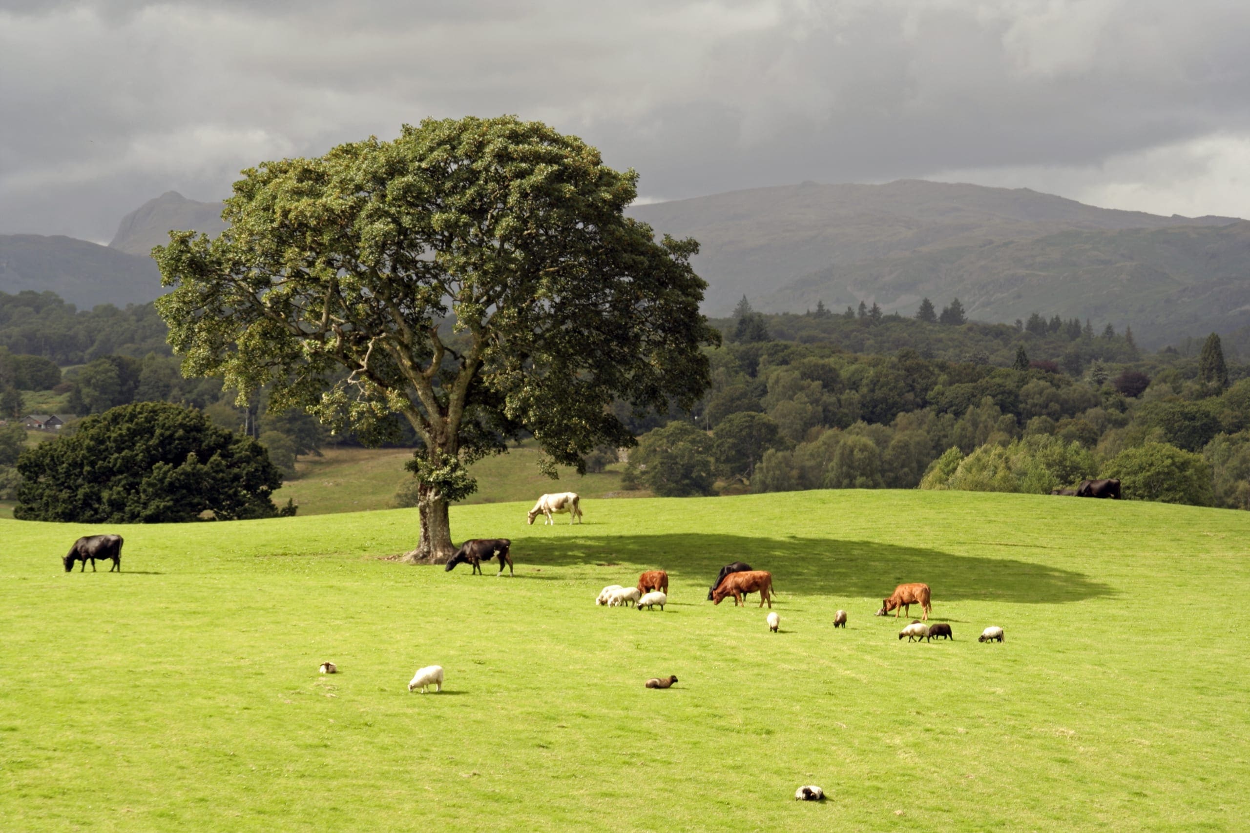 Simplified Countryside Stewardship Schemes Announced | GSC Grays ...