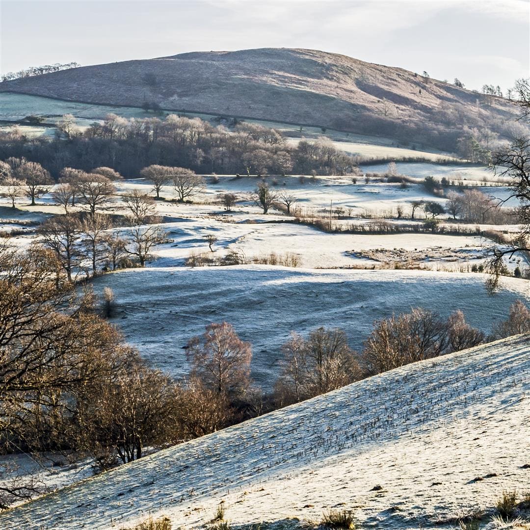 GSC Grays Winter Briefing 2015 | GSC Grays | Rural Land & Property ...
