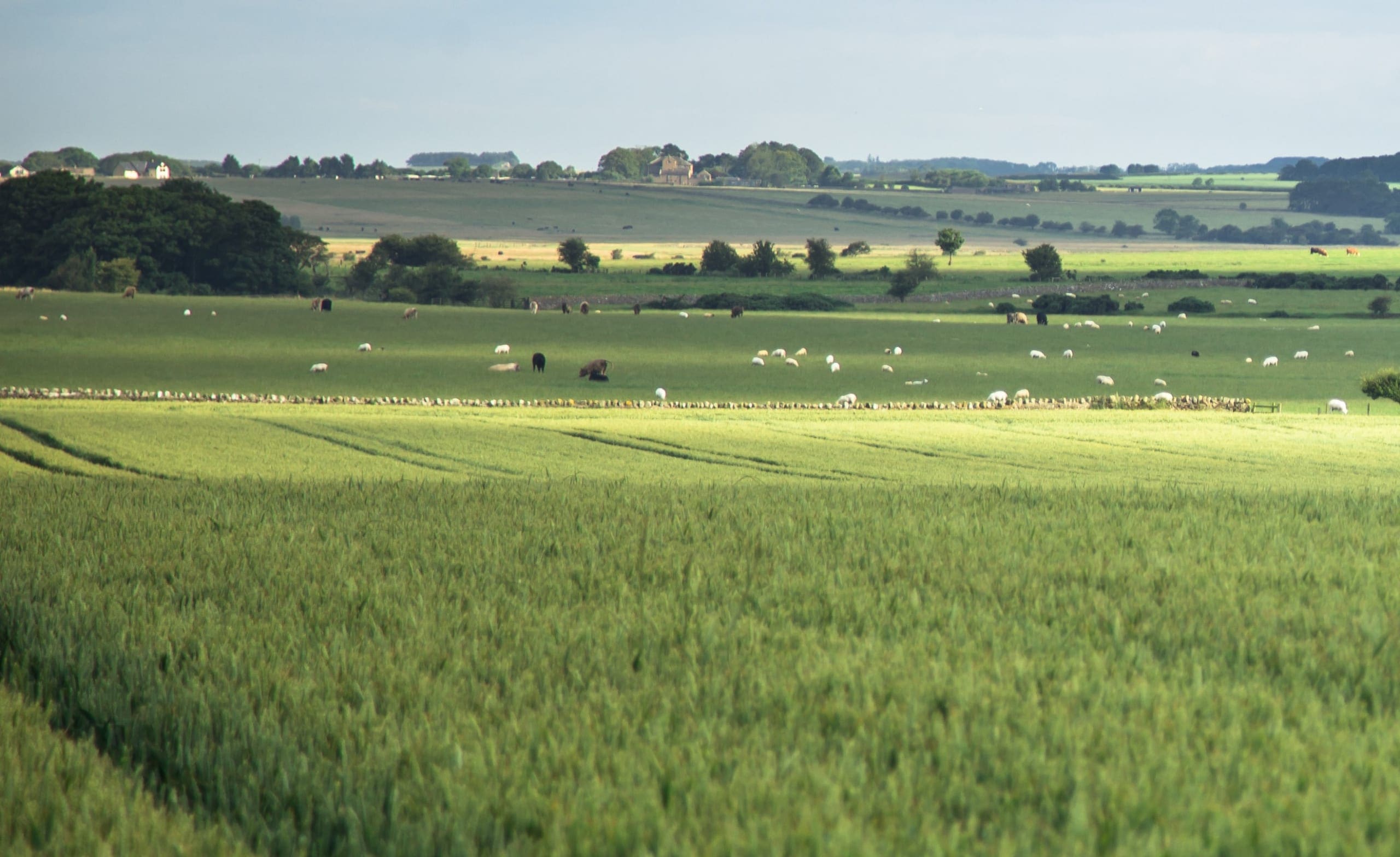 The redrafted Agriculture Bill | GSC Grays | Rural Land & Property ...