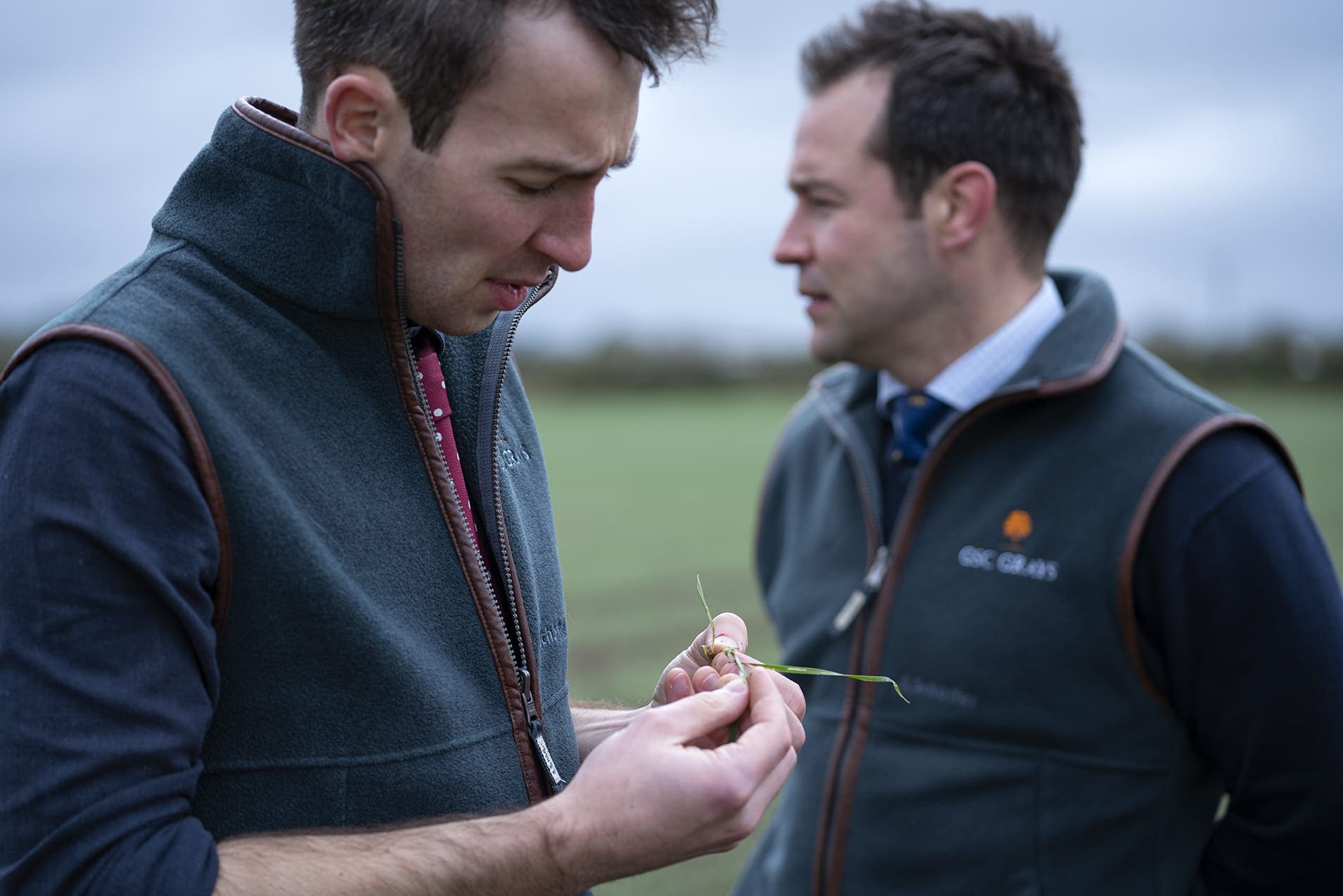 HOW TO MAKE STEWARDSHIP WORK FOR YOUR ARABLE FARM | GSC Grays | Rural ...