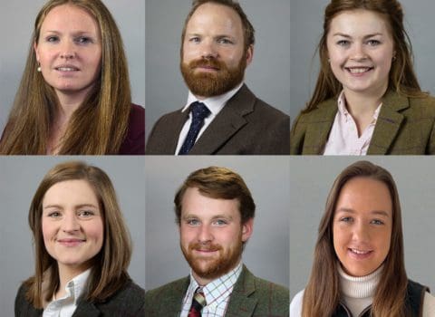 GSC Grays - Estate Agents, Chartered Surveyors, Land & Estate Agents