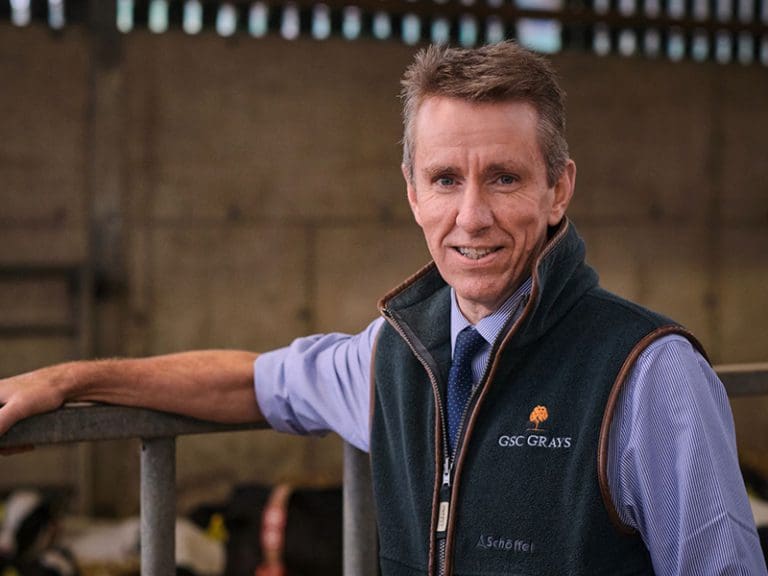 Greg Ricketts | GSC Grays | Rural Land & Property Specialists