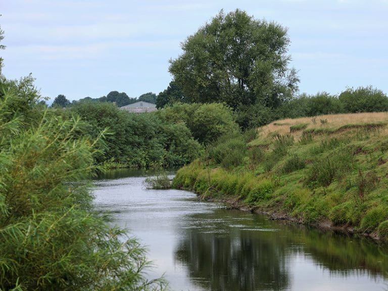 Nutrient Neutrality requirements for development | GSC Grays