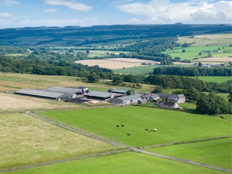 Northumberland livestock farm with significant natural capital comes to ...