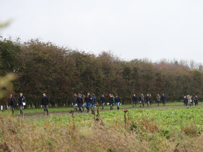 SFI farm walks a “huge advantage” for future planning | GSC Grays
